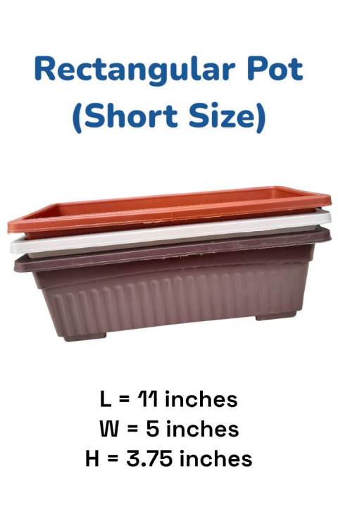 Rectangular Pot (Short Size) | Lazada PH