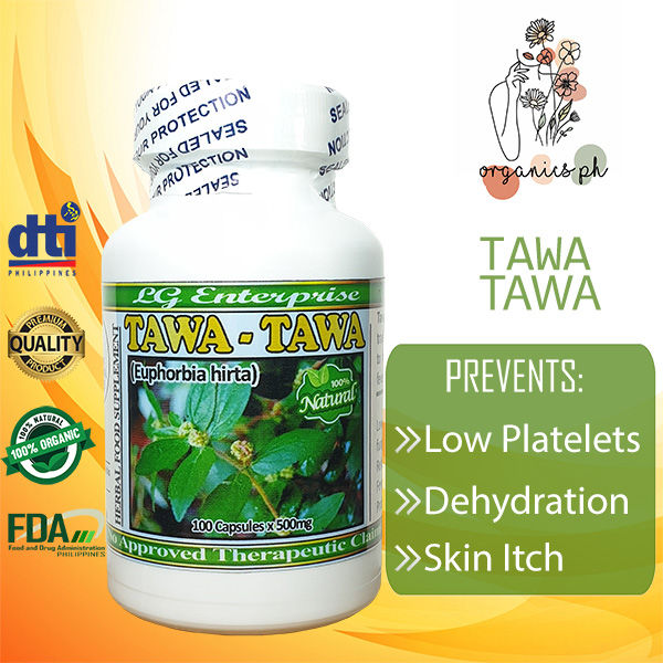 Tawa-Tawa Herbal Supplement for Dengue Fever and Asthma | Lazada PH