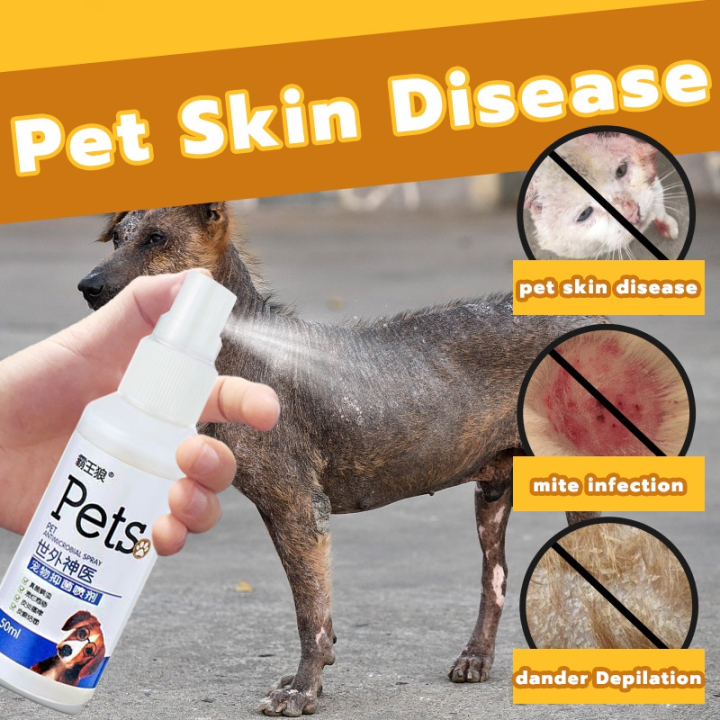 50ml Pet Skin Dieases Treatment Spray Cat and Dog Anti Fungal Ringworm ...