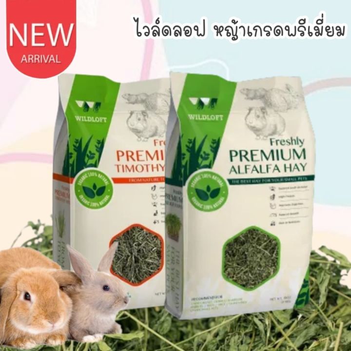 CatHoliday หญ้าอัลฟาฟ่า หญ้าทิโมธี เกรดพรีเมียม Wildloft ขนาด 510 กรัม หญ้ากระต่าย | Lazada.co.th