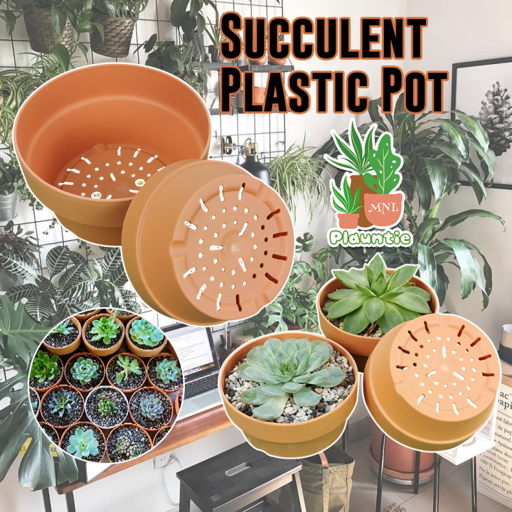 Succulent Plastic Terracotta Inspired Plastic Pots - Wide and Shallow ...