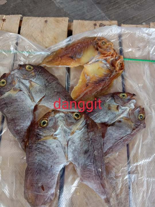 DRIED FISH DANGGIT (250G, 500G, 750G, 1 KILO) | Lazada PH