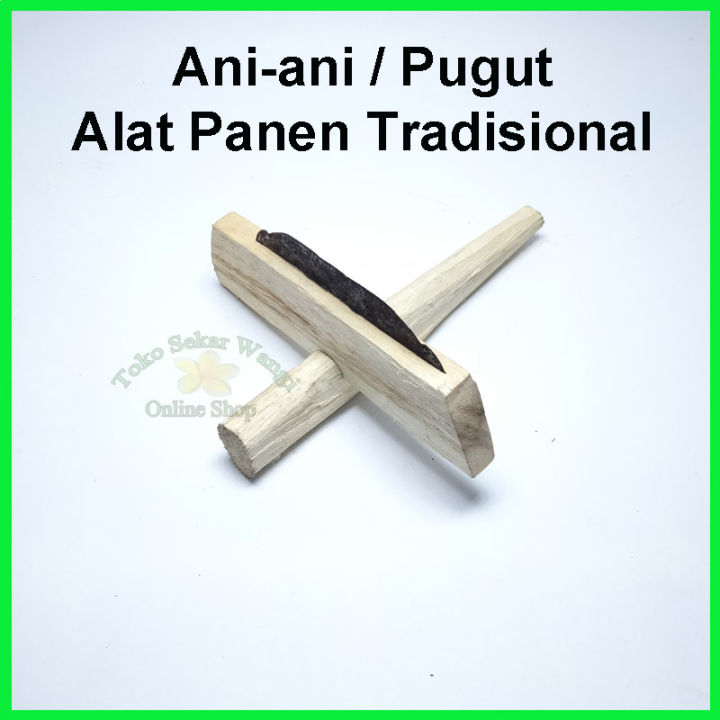 Ani-ani / Pugut / Ketam / wiwitan (Alat Panen Padi / Bayam / Kenikir ...