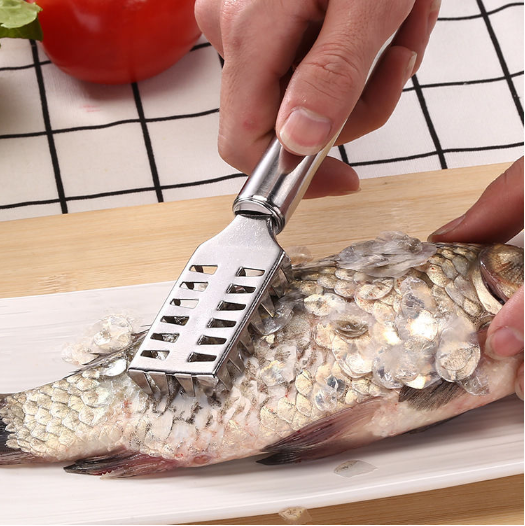 stainless steel fish scale planer | Lazada PH