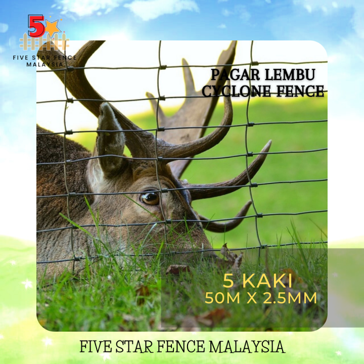 Pagar Kambing Pagar Lembu Cyclone Fence Pagar Kebun 5kaki x 50meter x 2 ...