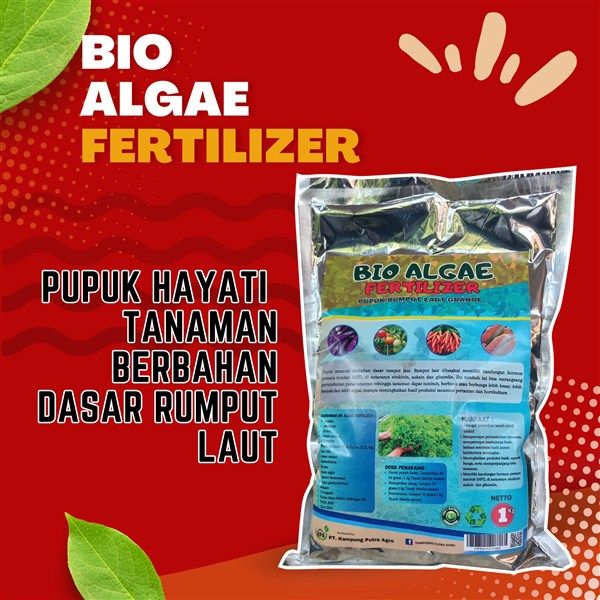 Pupuk Organik Pertumbuhan Tanaman dari Rumput Laut - Pupuk Rumput Laut Granul - Bio Algae ...