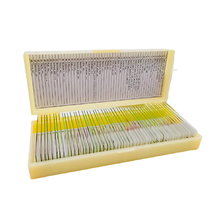 ＜1225＞50pcs Animal Human Cell Histology Prepared Glass Slides ...