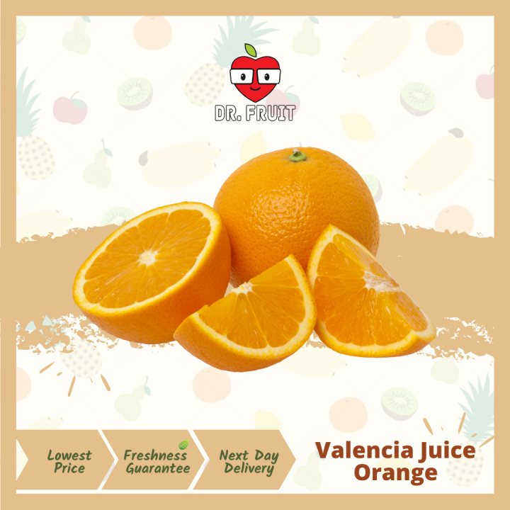 Valencia Juice Orange 新鲜水橙 Dr.fruit /Oren | Lazada