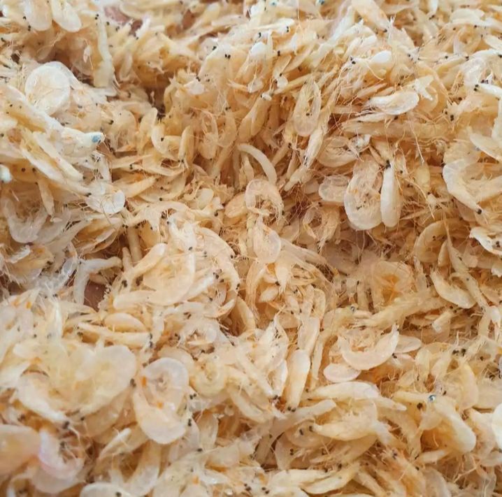 Ikan Asin Udang Rebon Kasar / Udang Rebon / Ikan Asin - 500 gram ...