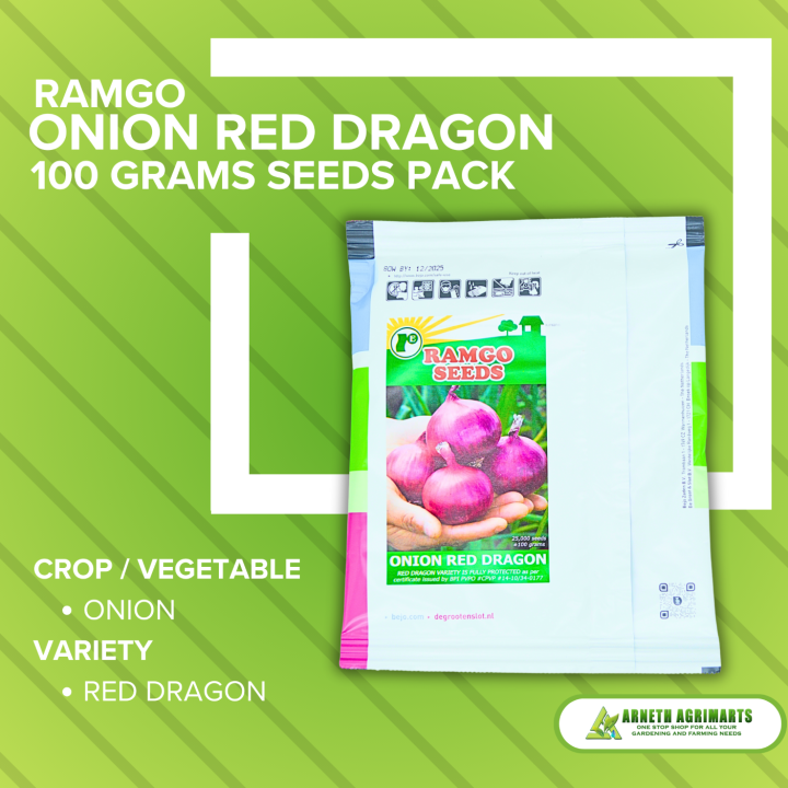 RAMGO RED DRAGON RED ONION SEEDS 100 GRAMS | Lazada PH