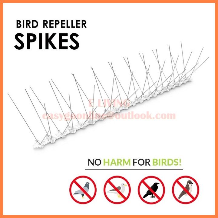 Spikes Bird And Pigeon Spikes Anti Bird Spikes Stainless Steel Pest ...