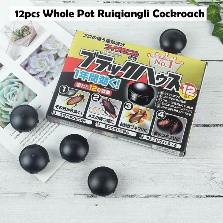 12pcs Whole Pot Ruiqiangli Cockroach Japanese Kill Cockroach Medicine ...