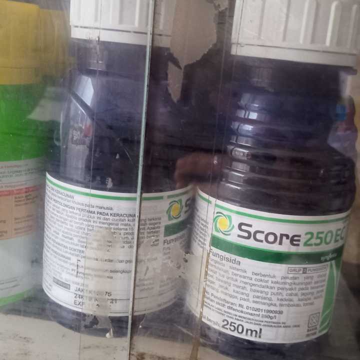 Fungisida Score 250EC 250ml mencegah serangan cendawan | Lazada Indonesia