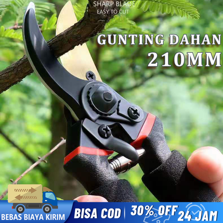 Gunting Dahan 210mm / Stainless Garden Shear Gunting Dahan 8 inch Baja ...