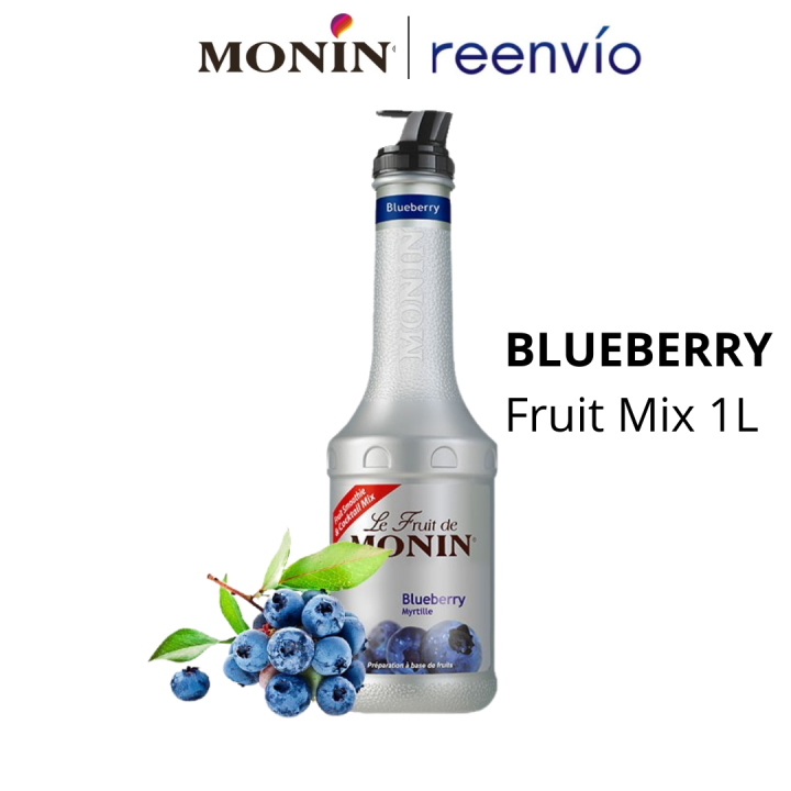 Monin Blueberry Fruit Mix 1L Puree | Lazada PH