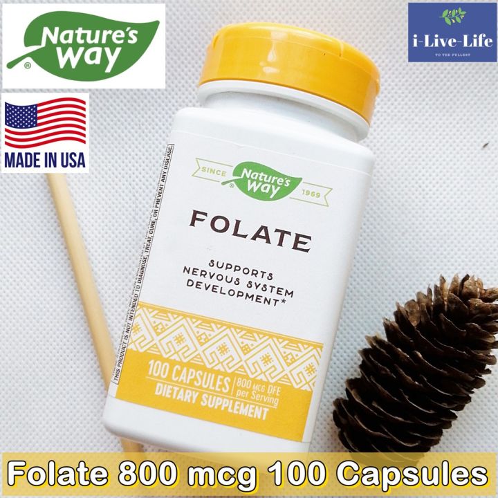 โฟเลต Folate 800 mcg 100 Capsules - Nature's Way | Lazada.co.th