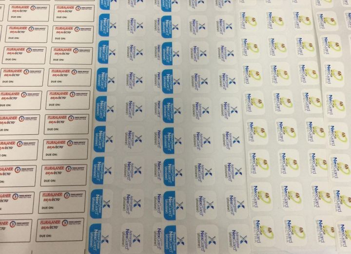 NEXGARD SPECTRA BRABEKTO (5pcs) sticker for record or vetcard | Lazada PH