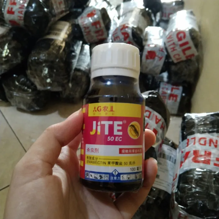 JITE - Insektisida Mengatasi Hama Ulat Grayak, Thrips pada Tanaman Bawang Merah, Cabai, Tomat ...
