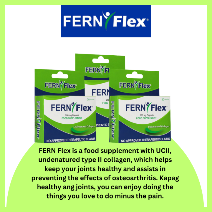Fern Flex by Ifern | Lazada PH