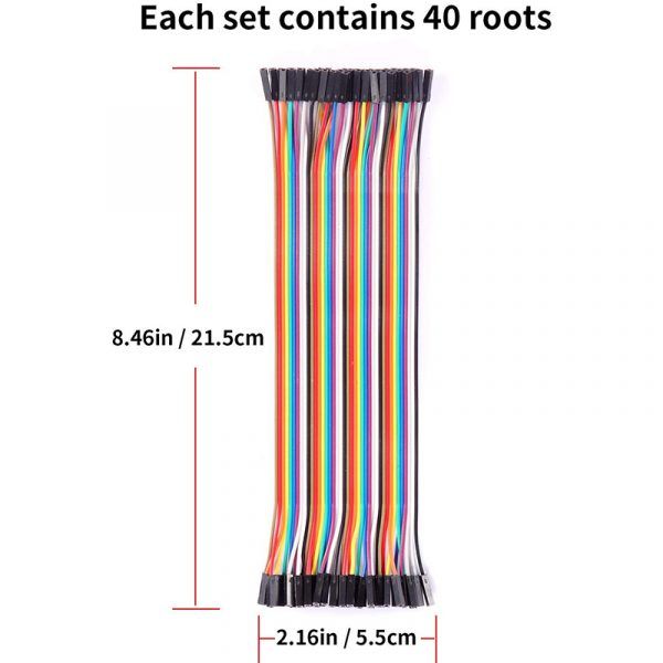 40 Pin Female to Female computer Ribbon Cable | Lazada PH