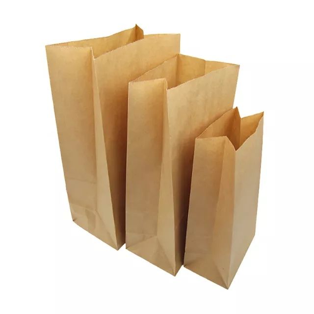 100pcs Paper Bag Brown Kraft #10 #12 #16 | Lazada PH