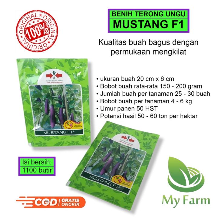Bibit Terong Ungu Mustang F1 Isi 1100 Butir Cap Panah Merah Masteng Bisa Sistem Hidroponik ...