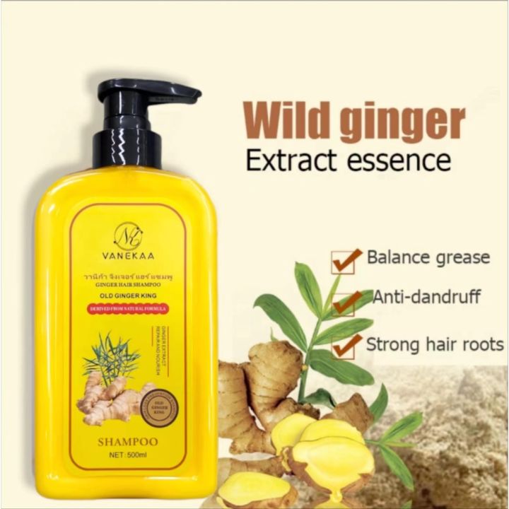 VANEKAA Ginger Hair Shampoo Anti Hair Lost Oil Control Enhance Hair ...