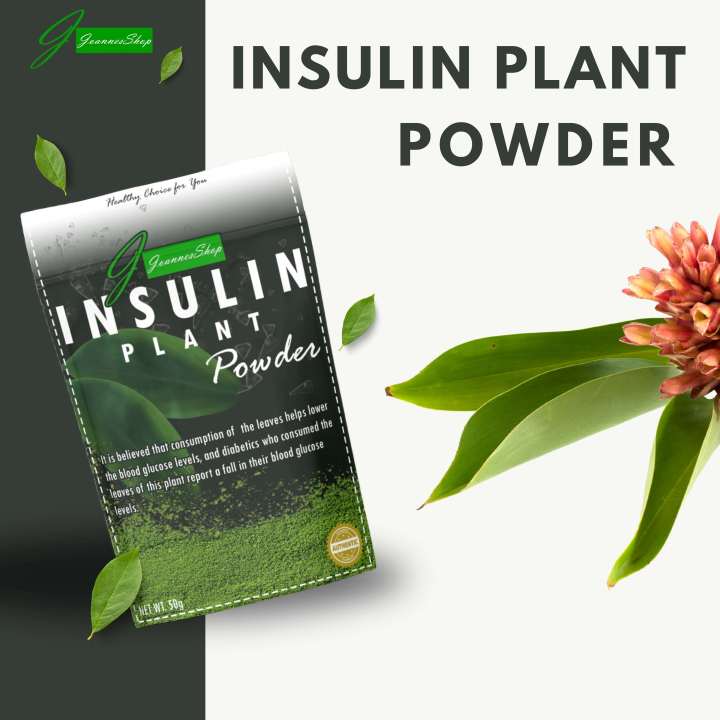 INSULIN PLANT POWDER - SULIT PACK HRB | Lazada PH