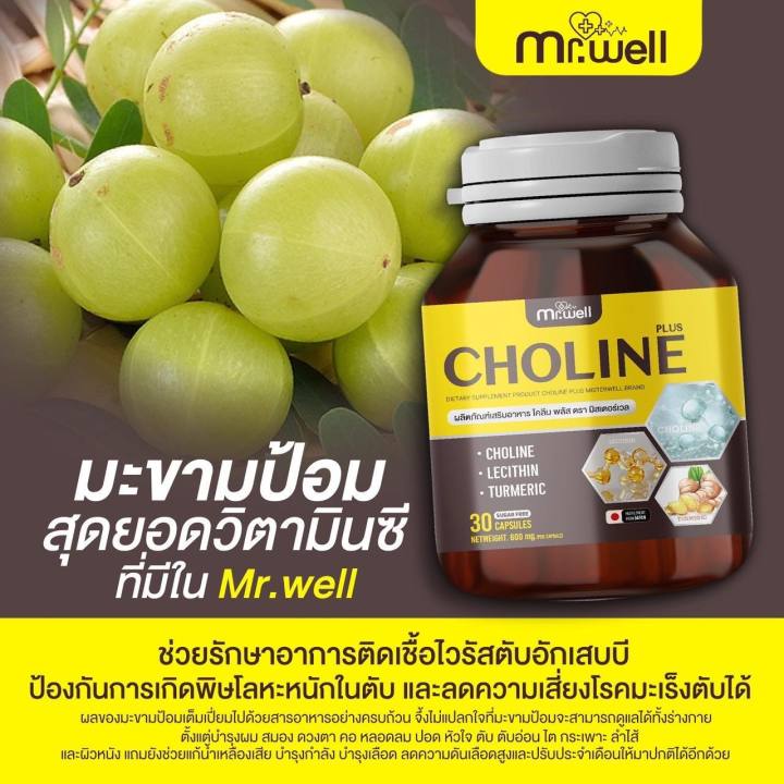 CHOLINE PLUS จาก Mr. Well ส่วนผสมจากธรรมชาติ เกรดพรีเมียม เพื่อการดูแล ...