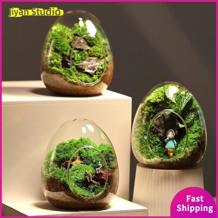 JIYAN2866 Fleshy Terrarium Egg-shaped Hydroponic Home Decoration ...