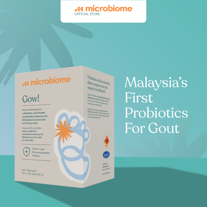 Microbiome Gow! Probiotic Lactobacillus rhamnosus GG + Prebiotic Chicory Inulin Gout Supplement ...