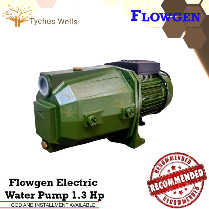 Flowgen Electric Water Pump 1 Hp | Lazada PH
