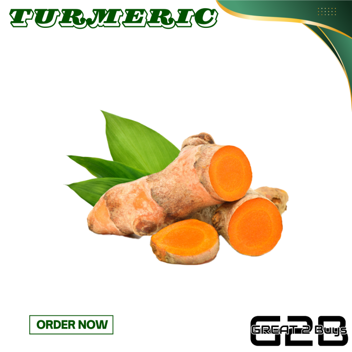 500 Grams Fresh Local Turmeric Luyang Dilaw | Lazada PH