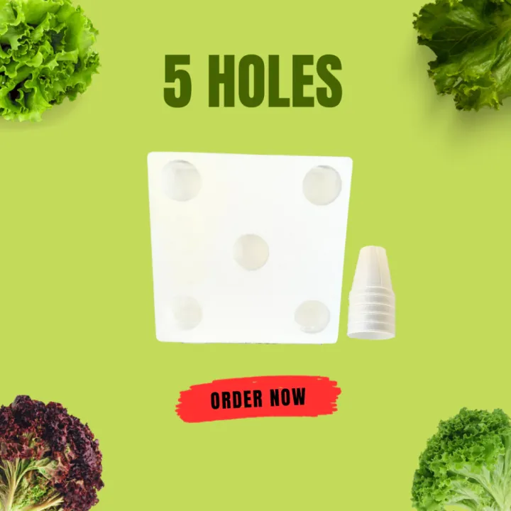 5 HOLES HYDROPONICS STYROFOAM GROWBOX READY TO USE KATANIM BOX (NO CUP ...
