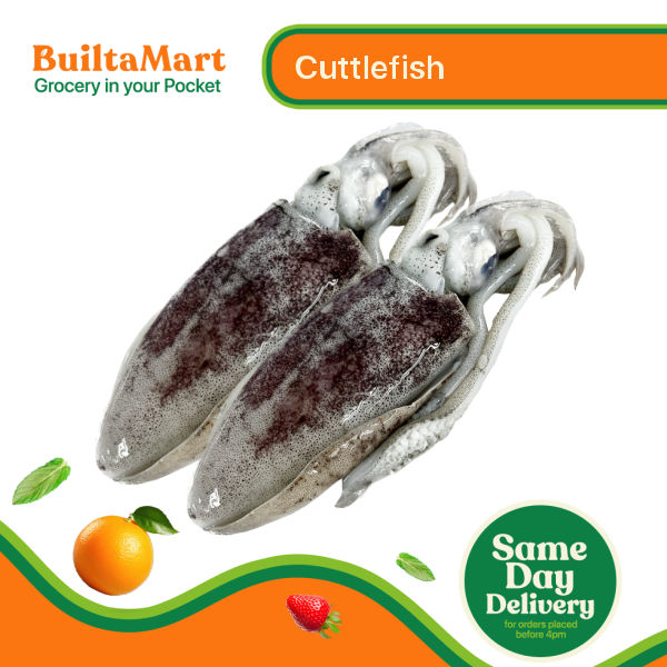 Fresh Catch Cuttlefish "Pusit Lumot" Cleaned (400-500g) | Lazada PH