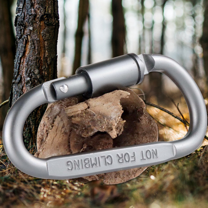 Portable D-shaped Keychain Outdoor Hanging Camping Keychain | Lazada PH