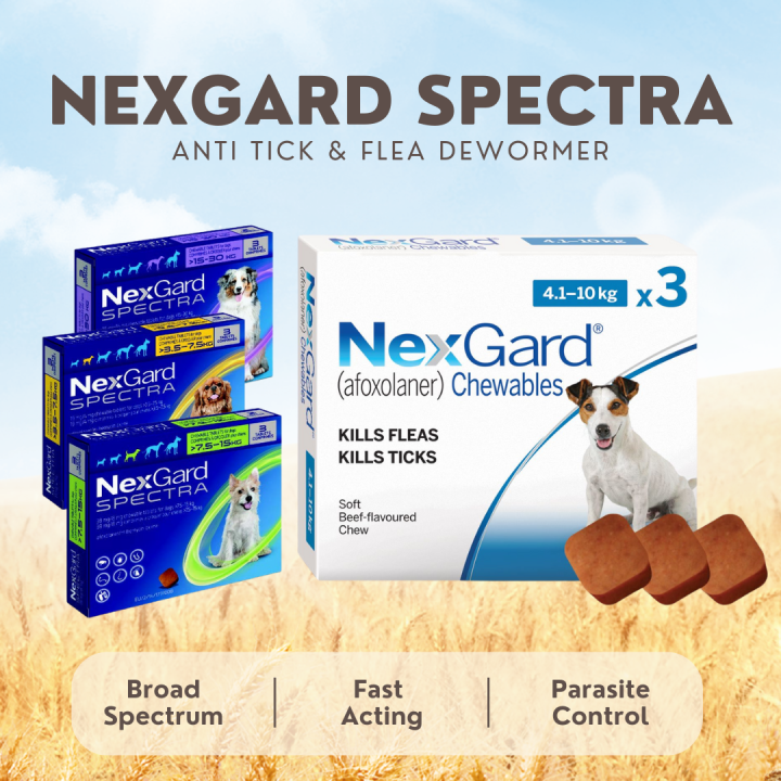 Nexgard and Nexgard Spectra Chewable Tablet for Dogs Anti Tick and Flea ...