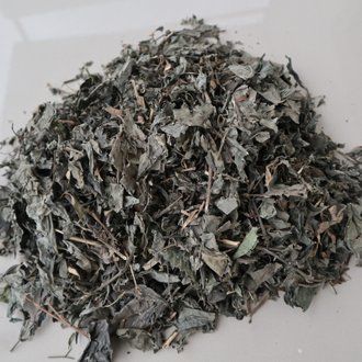 daun / serbuk pecah beling kejibeling (Strobilanthes crispa) dry ...