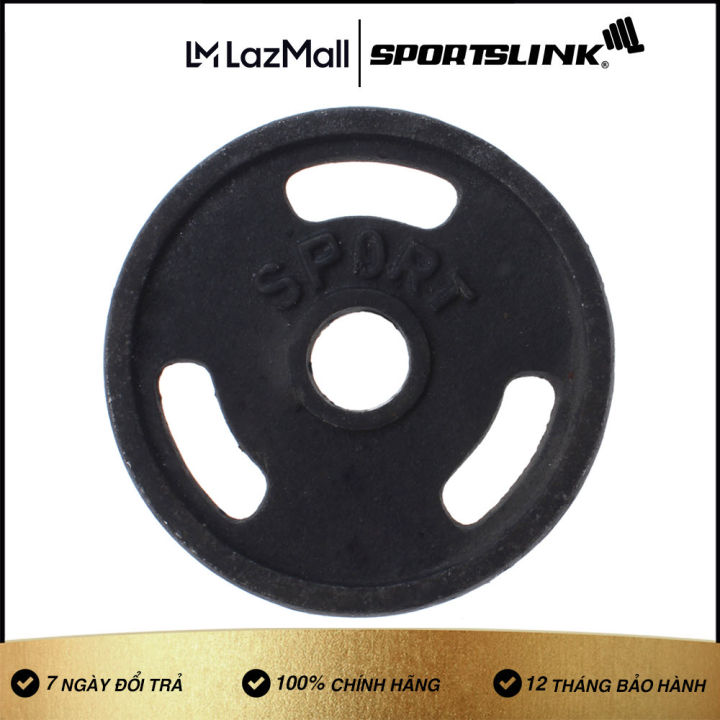 Tạ Bánh Gang Đúc Phi 27mm - Tạ Miếng Gang 3kg | Lazada.vn