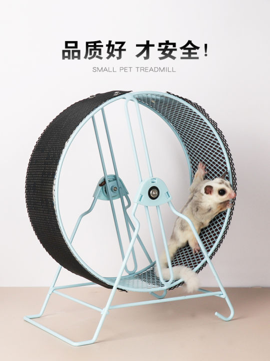 Quietly grinding fingernails with honey bag running wheel Squirrel ...