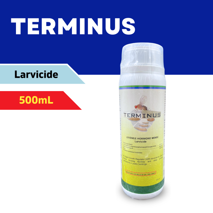 Terminus 20pcs Larvicide | Lazada PH