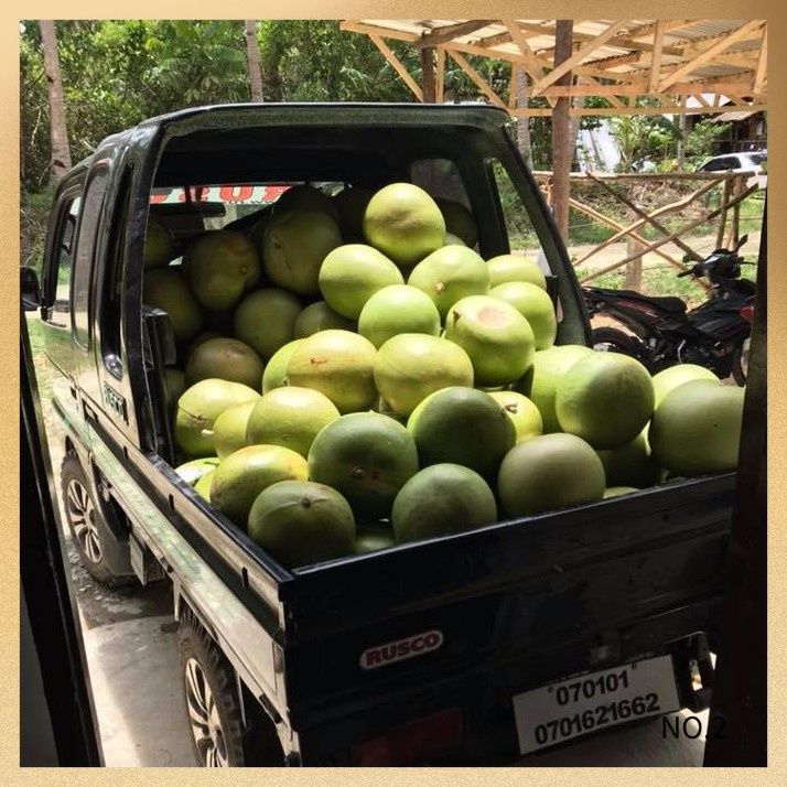 fruit juiceMonique Miracle Fruit Juice 1000ml | Ready to drink 100% ...