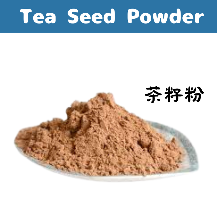 Tea Seed Powder 100g | Lazada