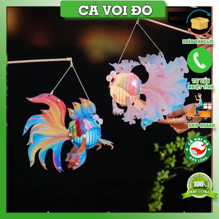 Lồng đèn giấy Trung Thu con cá chép ngọc trai nhiều màu có đi kèm phụ ...