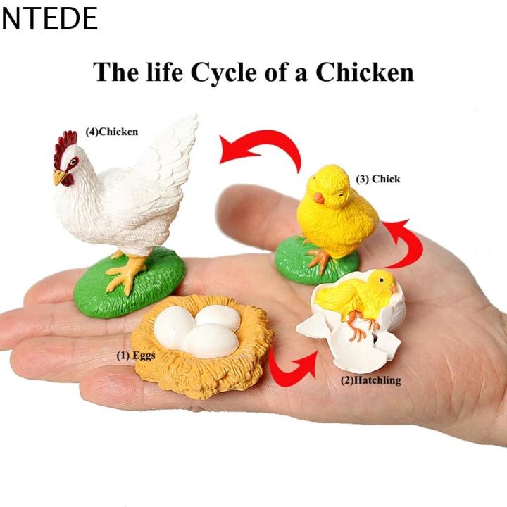NTEDE Kids Toy Biology Plastic Models Spider Insect Animals Chicken ...