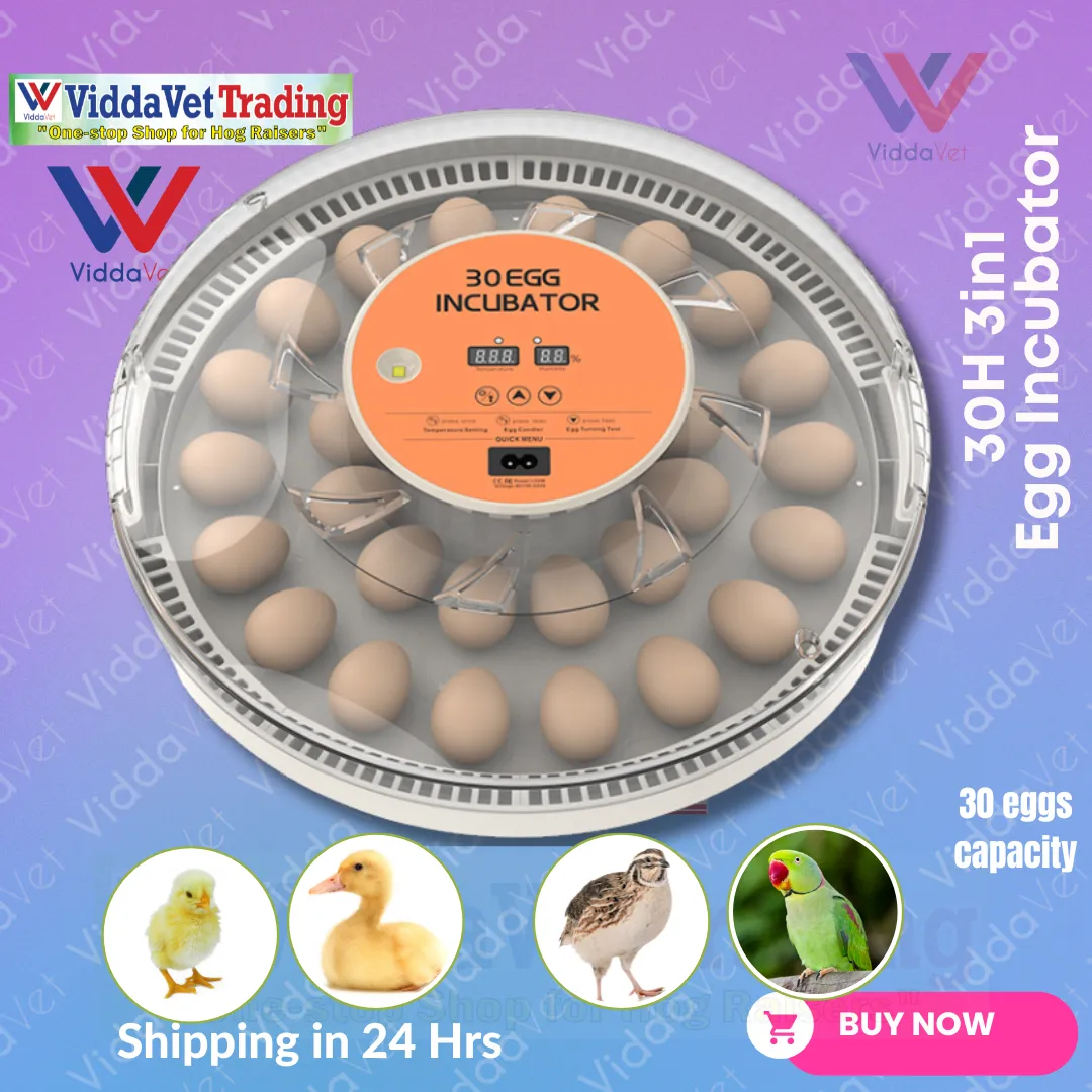 Automatic Turner Digital Temperature Humidity Display Built-in Egg ...