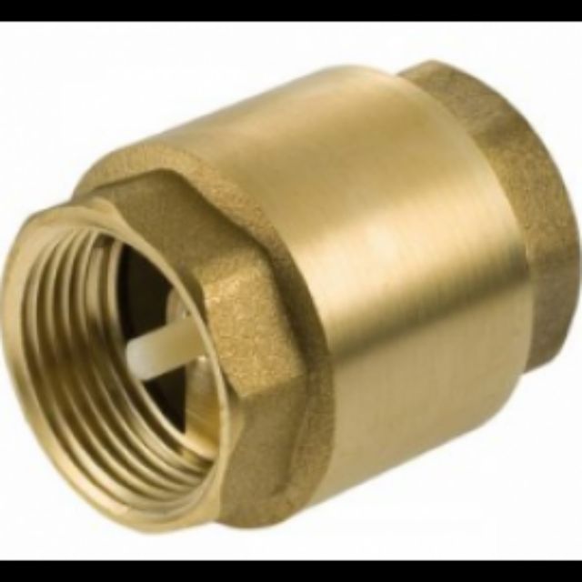 DLM Double Lin Vertical Spring Check Valve / Non return valve No return ...