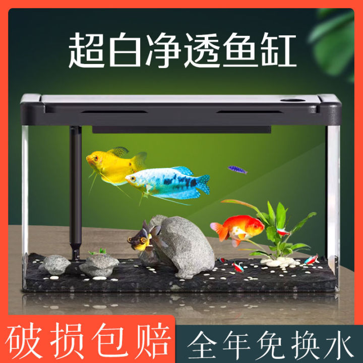 Table Top Fish Tank Set Aquarium Super White Lazy Fish Farm hot ...
