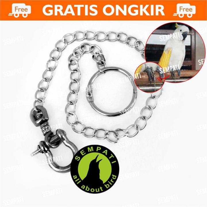 RING OMEGA 12 MM RANTAI KAKI BURUNG KAKATUA BAYAN AFRICAN GREY PARROT ...