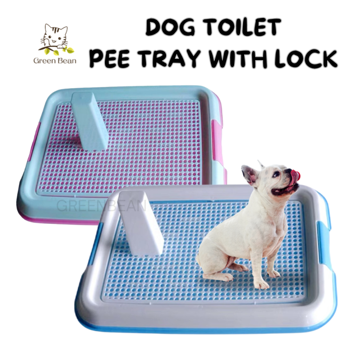Dog pee tray Pet Toilet Pets Pee Tray - Flat Plate with Lock / Puppy ...